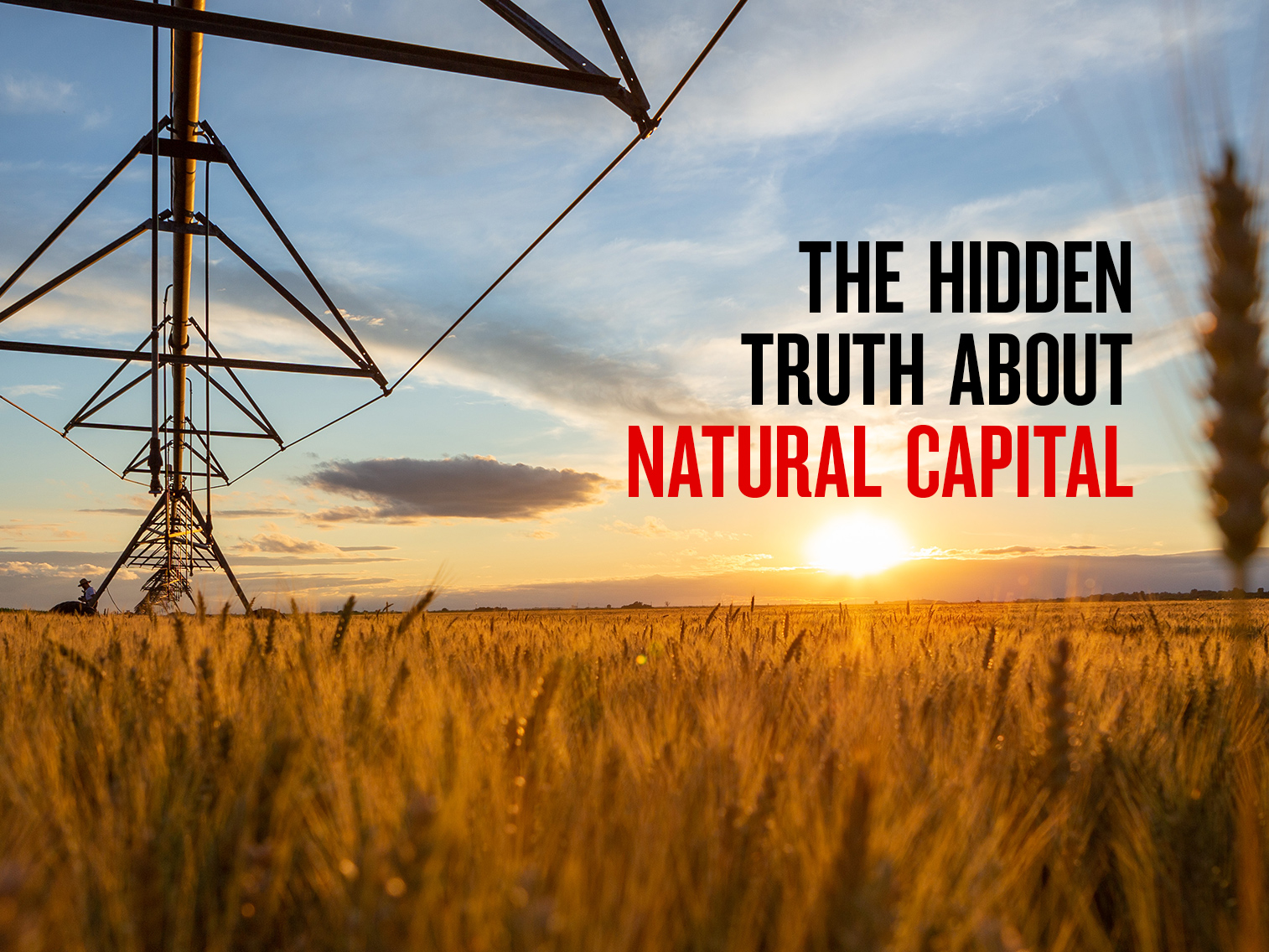 The 6 5tn ion How To Capitalise On Australia s Natural Assets